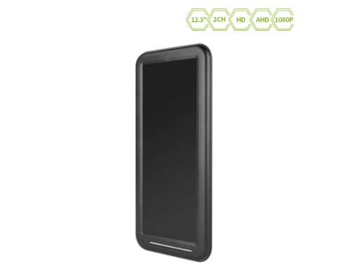 JY-M123 R46 1080P 2 CH input 12.3 inch rear and side view monitors | Luview